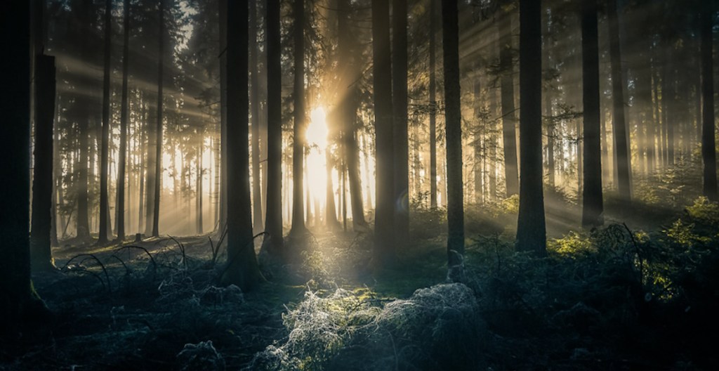 Carsten Jahn – TEAM HEIMAT